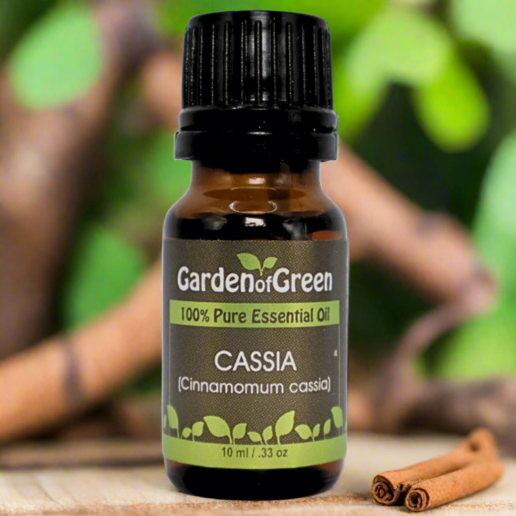 Cassia vs Cinnamon Leaf Essential Oil: Key Differences, Benefits & Uses ...