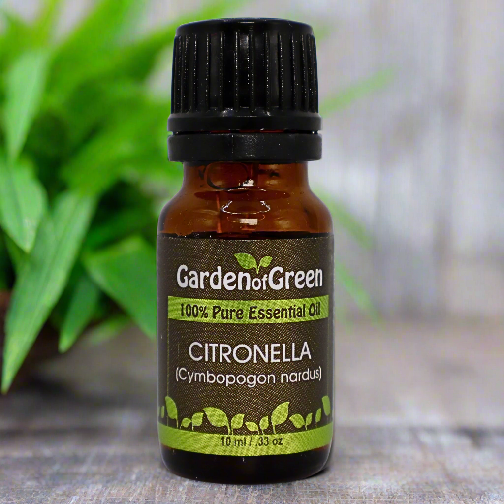 DIY Summer Diffuser Blends with Citronella | Fresh Natural Recipes ...