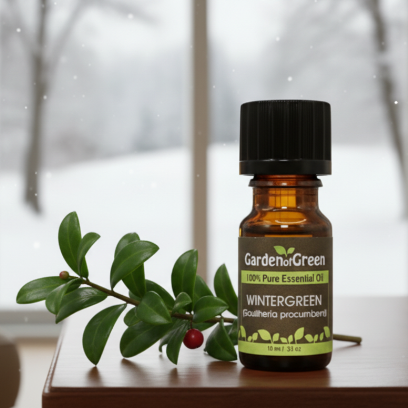 Wintergreen Essential Oil Uses | Cooling Diffuser Blends & Comfort ...