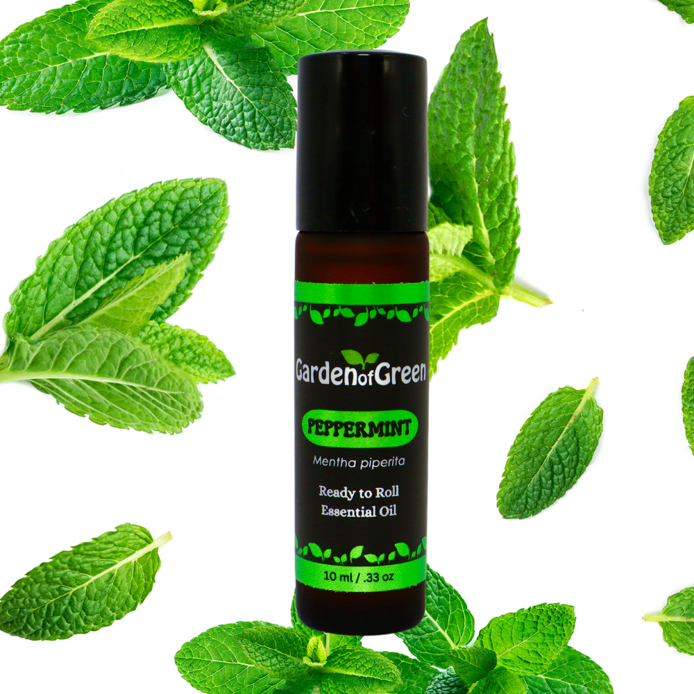 Is Peppermint Good for Migraines? Here’s What You Need to Know ...